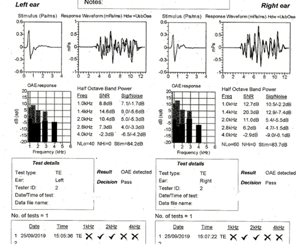 Evoked Potentials in Adults: A Clinical Audiology Guide